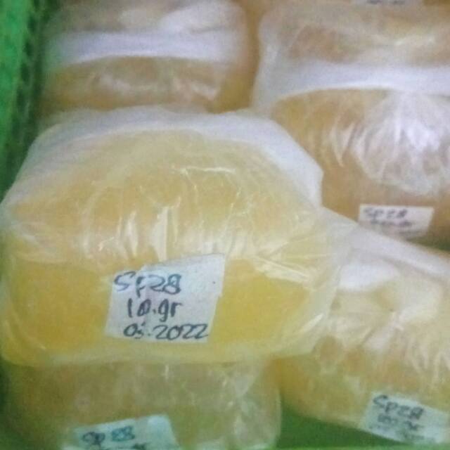 Jual SP kiloan Sponge Reapack | Shopee Indonesia