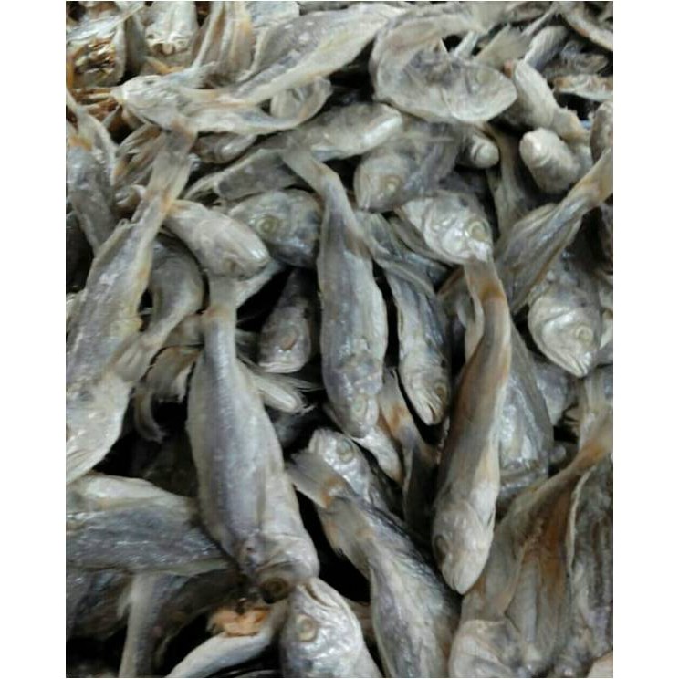 Jual Ikan Asin Kepala Batu / Gulama ( @ 500 Gr ) | Shopee Indonesia