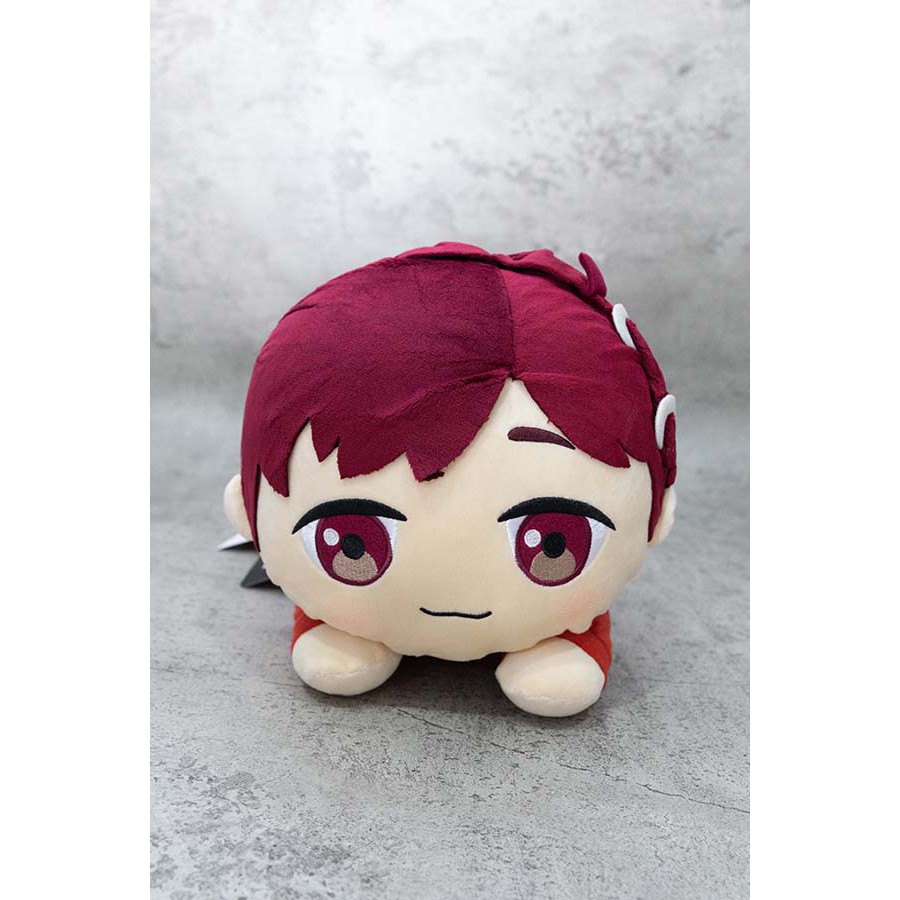 Jual Sega Nesoberi Mega Jumbo BTS TinyTan J-Hope 40 cm plush doll | Shopee Indonesia