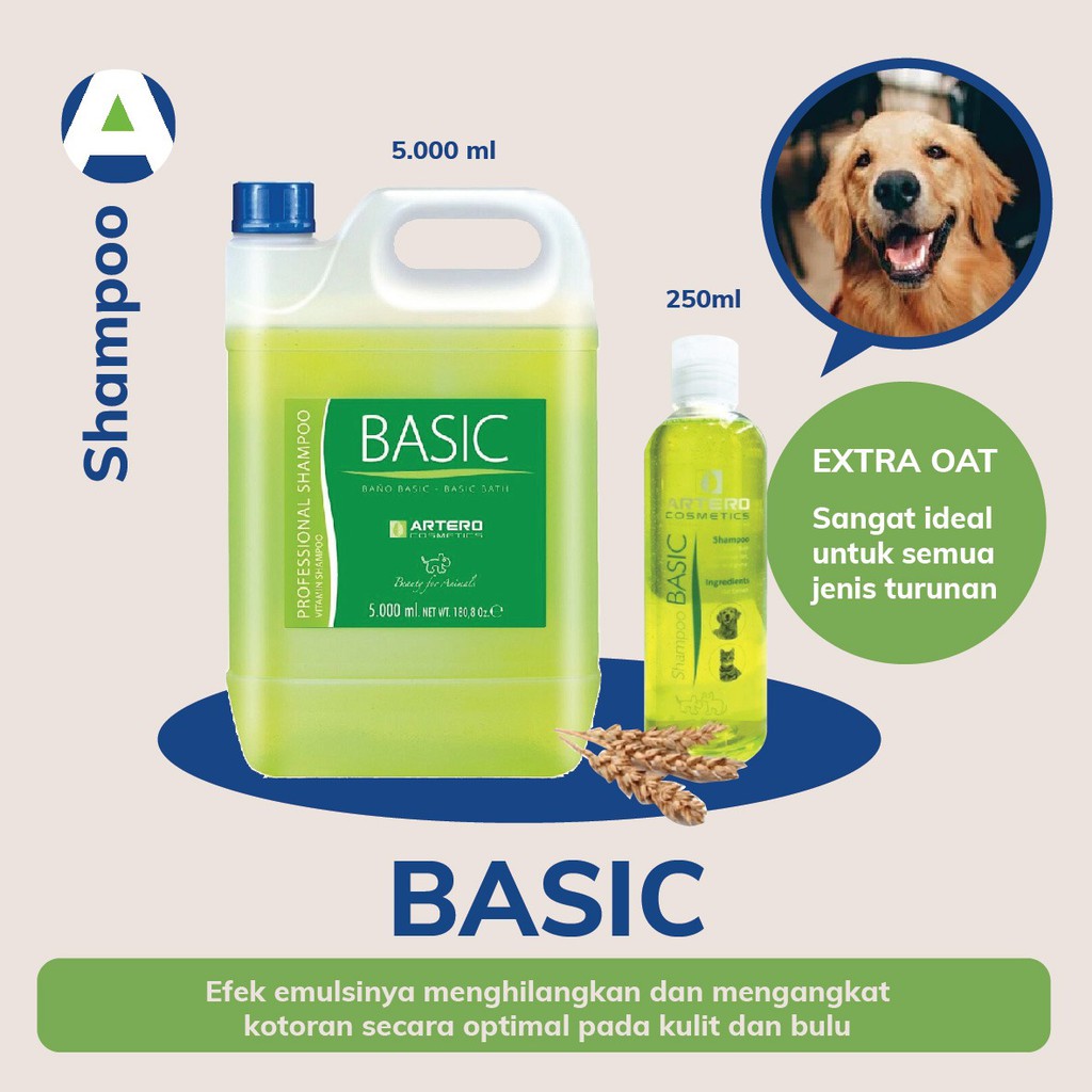 Jual Artero Basic Shampoo 250ml | Shopee Indonesia