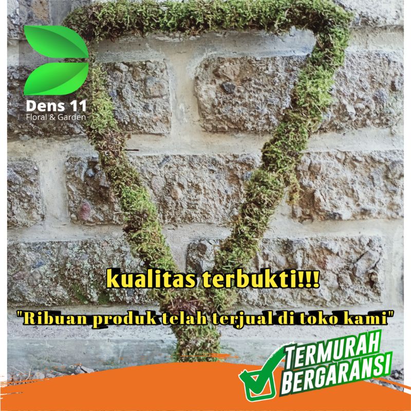Jual turus lumut hidup bentuk segitiga penyangga tanaman akar Ramba t ...