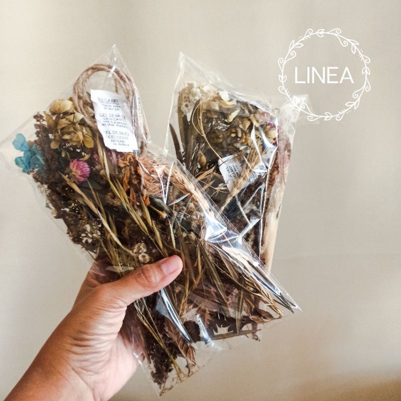 Jual Linea Dried Flower Bunga Kering Daun Satu Pack Isi Random Aneka ...