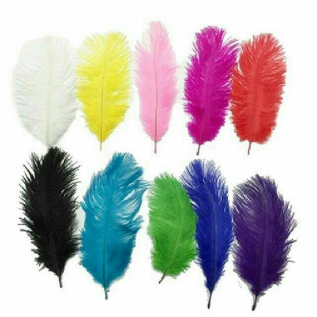 Jual Ostrich feather bahan bulu burung onta bahan craft charm | Shopee ...