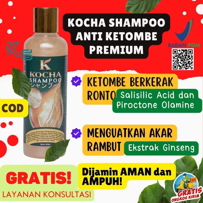 Jual Kocha Shampoo Anti Ketombe dan Rambut Rontok Premium Paling Ampuh | Shopee Indonesia