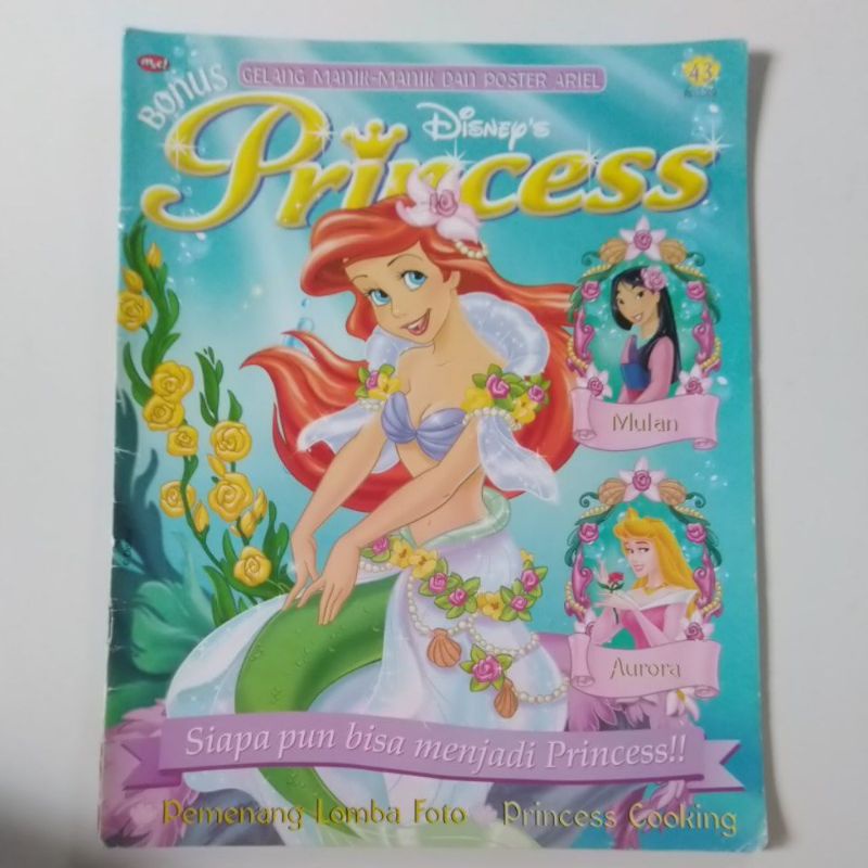 Jual Buku Anak Disney Princess Siapa pun bisa menjadi Princess | Shopee ...