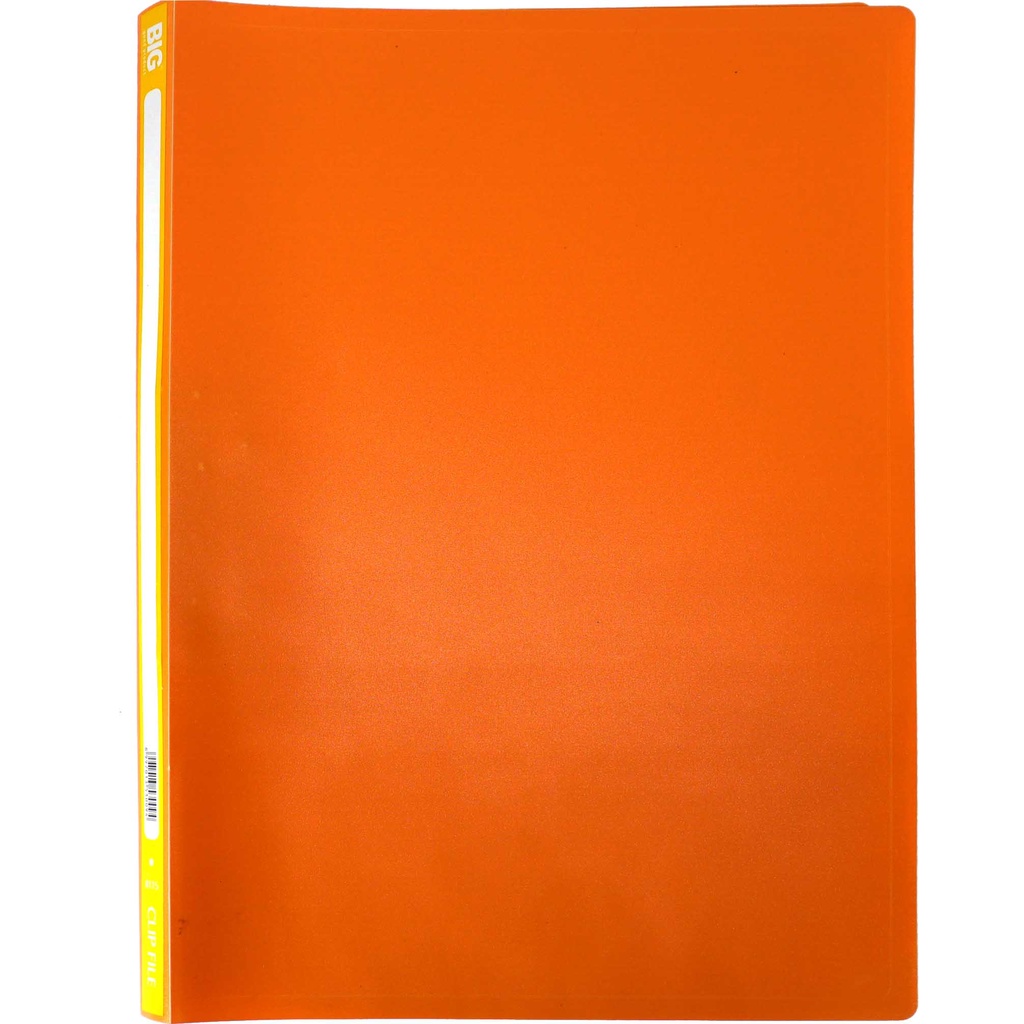 Jual 1 Pcs BIG Map Jepit F4 Folio Dokumen Plastik Clip File BIG MF-8115 ...