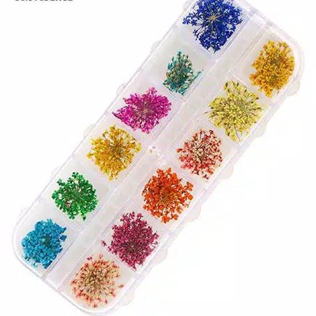 Jual Dried Flower Nail Art Flower Nail Bunga Kering Nailart Bunga