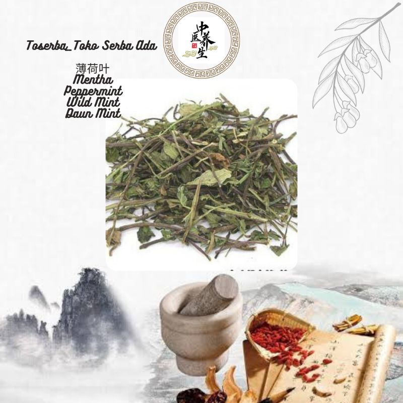 Jual 100gr Herbal Bao He Ye 薄荷叶 Mentha Canadensis Linnaeus Wild Mint ...
