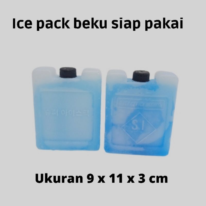 Jual ice pack beku siap pakai / ice pack ukuran 9 x 11 x 3 cm / ice ...
