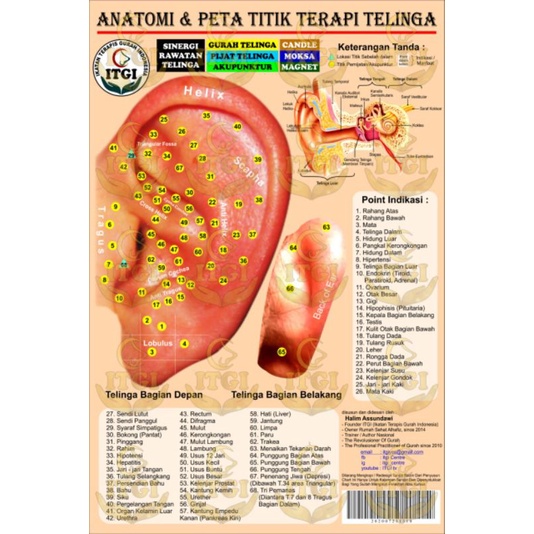 Jual POSTER KESEHATAN / POSTER EDUKASI ANAK & TERAPIS | Shopee Indonesia