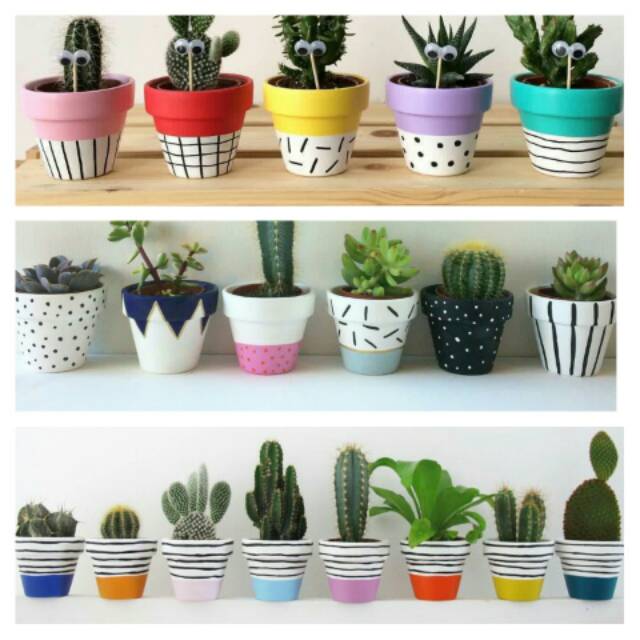 Jual PAKET TANAMAN DAN POT LUKIS 6cm | Shopee Indonesia