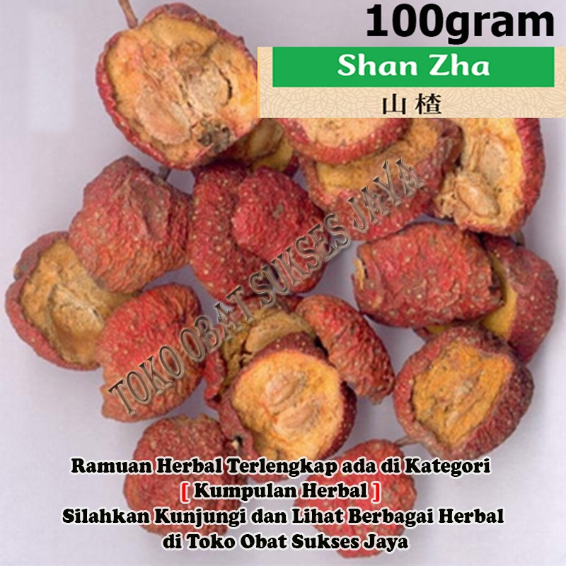 Jual [100gram] Shan Zha / San Ca / Sanca / Hawthorn Fruit - Fructus ...