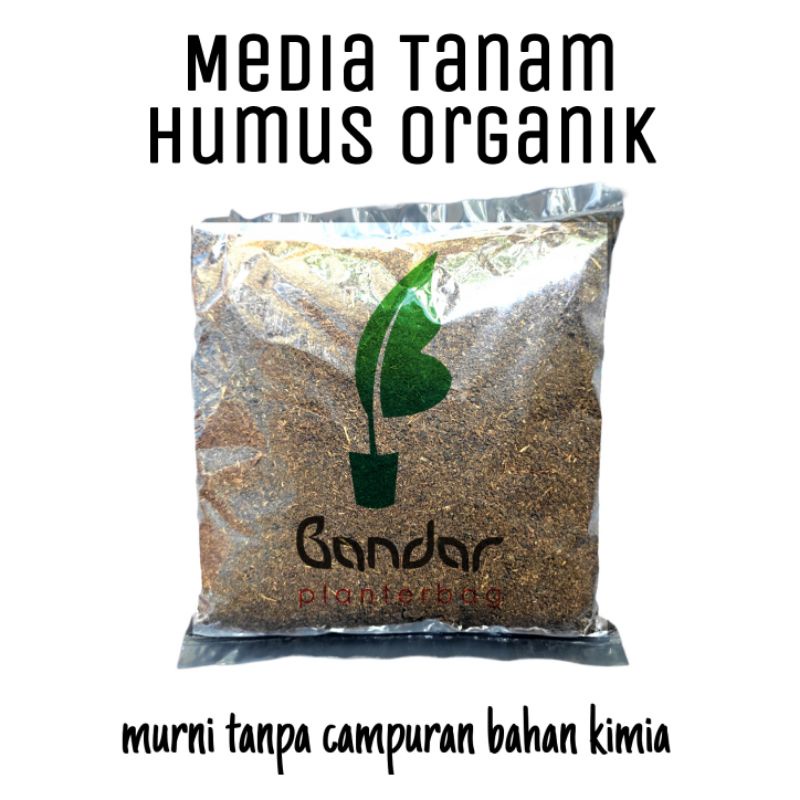 Jual Media Tanam Kompos humus organik cocopeat sekam bakar andam ...