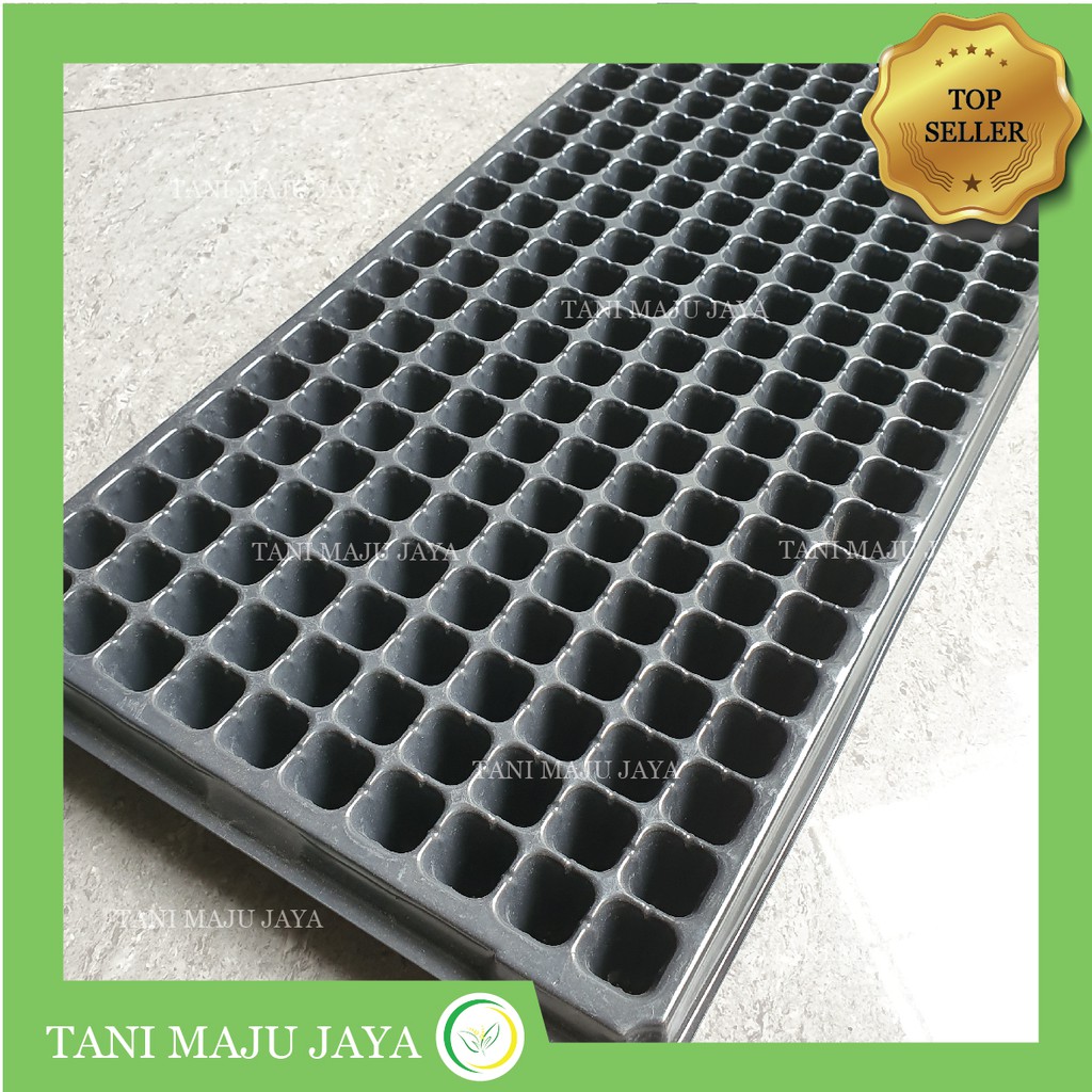 Jual Tray Semai 200 Lubang Traypot Seedling Bibit Pot Tray Hidroponik ...