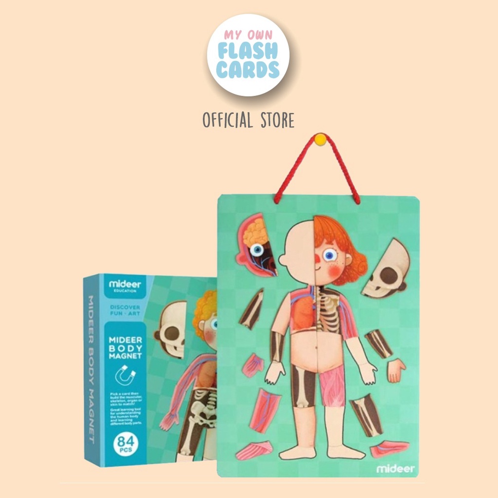 Jual Mideer 3D Body Magnet Anatomi Tubuh Mainan Edukasi Body Parts ...