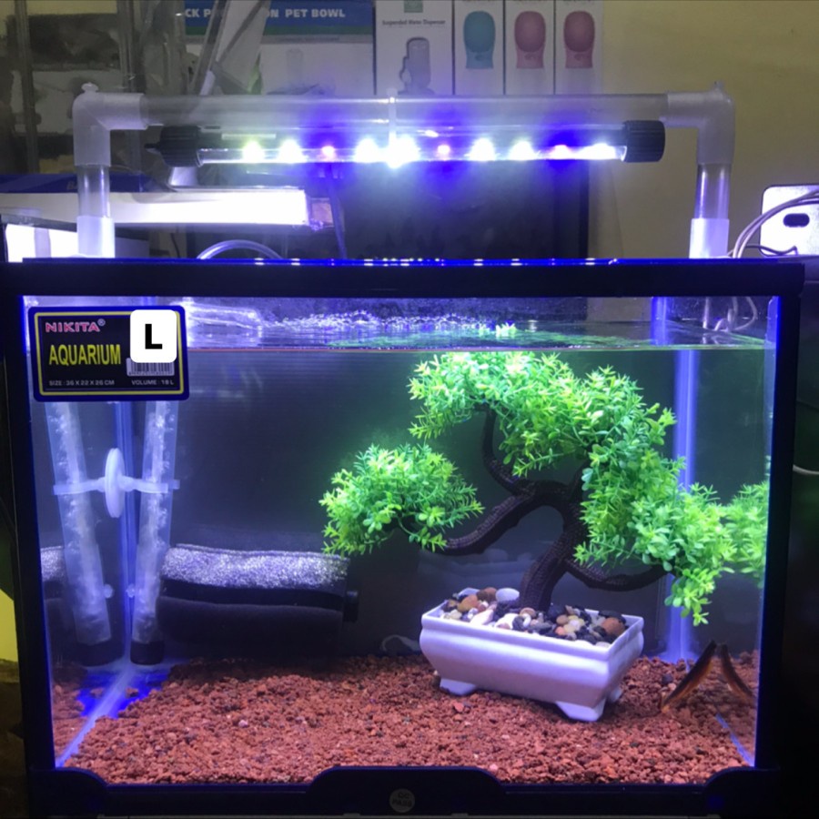 Jual PAKET KOMPLIT AQUARIUM TRISET NIKITA SIZE S/M/L | Shopee Indonesia
