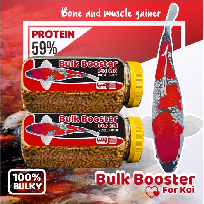 Jual Pakan Pelet Makanan Ikan Koi Bulk Booster Adudu Store | Shopee ...