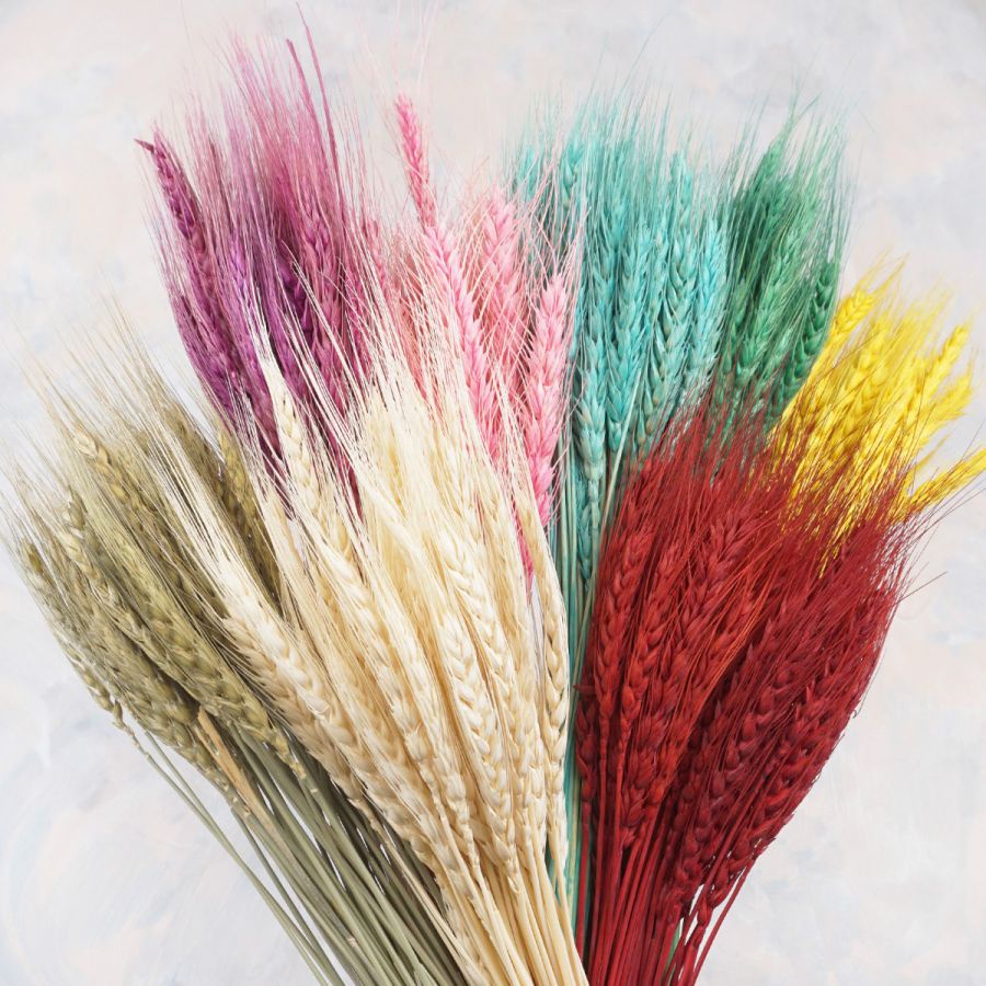 Jual 10 Tangkai CECEFAVORS Bunga Preserved Flower Kering Artificial Dry ...