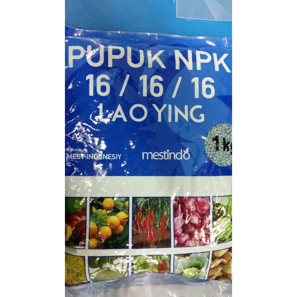 Jual Pupuk NPK 16-16-16 Laoying | Shopee Indonesia