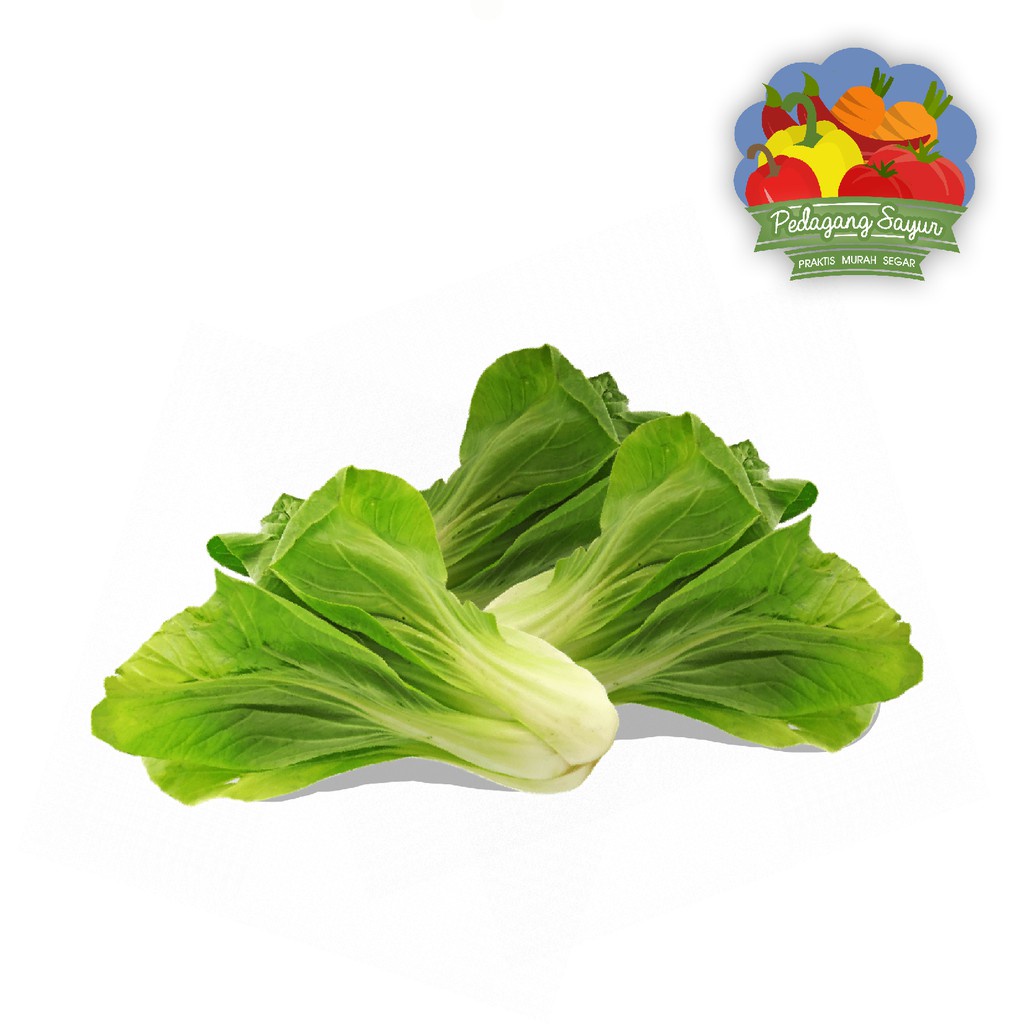 Jual Pakcoy / Pokcoy / Sawi Sendok - 250 Gram | Shopee Indonesia