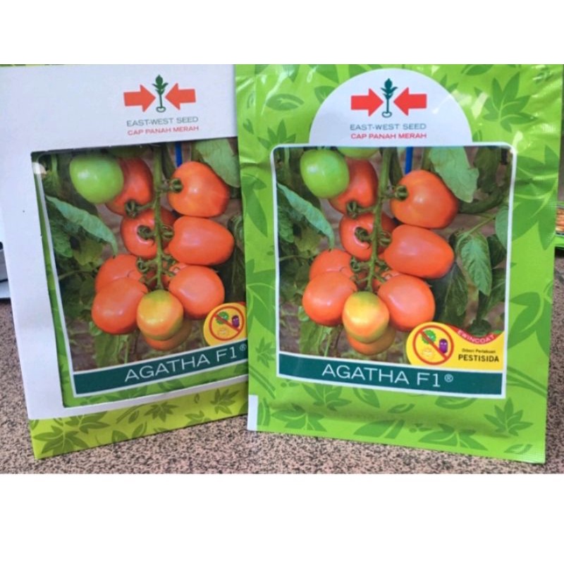 Jual Benih Tomat agtha F1 isi 3500 Butir | Shopee Indonesia