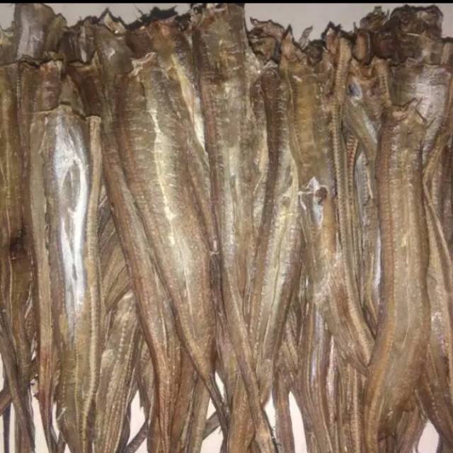 Jual ikan tawar belut lau/ Belut laut 500gr | Shopee Indonesia