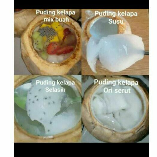 Jual pukel ( puding kelapa ) | Shopee Indonesia