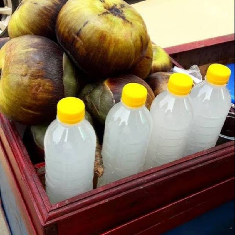 Jual cuka asli dari pohon siwalan/lontar berhasiat | Shopee Indonesia