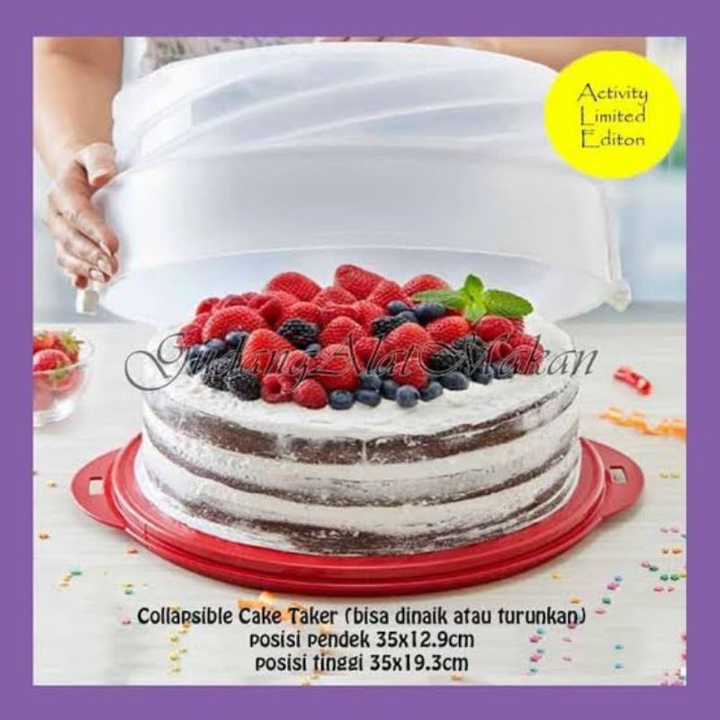 Jual CAKE TAKER WADAH KUE TAR | Shopee Indonesia