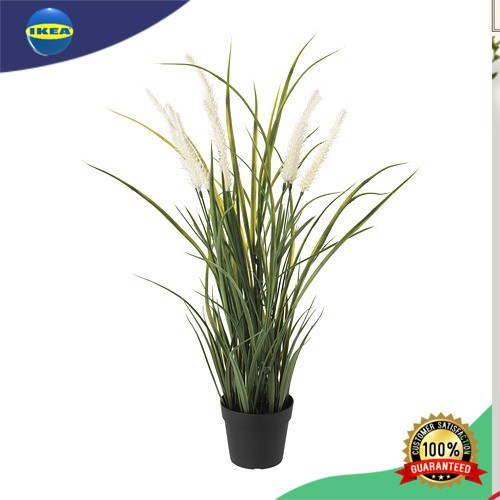 Jual Tanaman artifisial dalam pot, dalam/luar ruang hiasan/rumput, 9 cm ...
