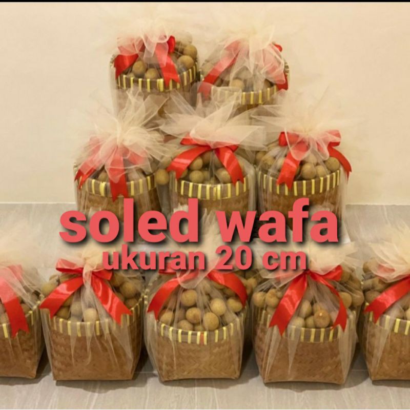 Jual TUMBU BAMBU HEMPERS NASI BISA UNTUK POT TANAMAN BUNGA 20 CM ...