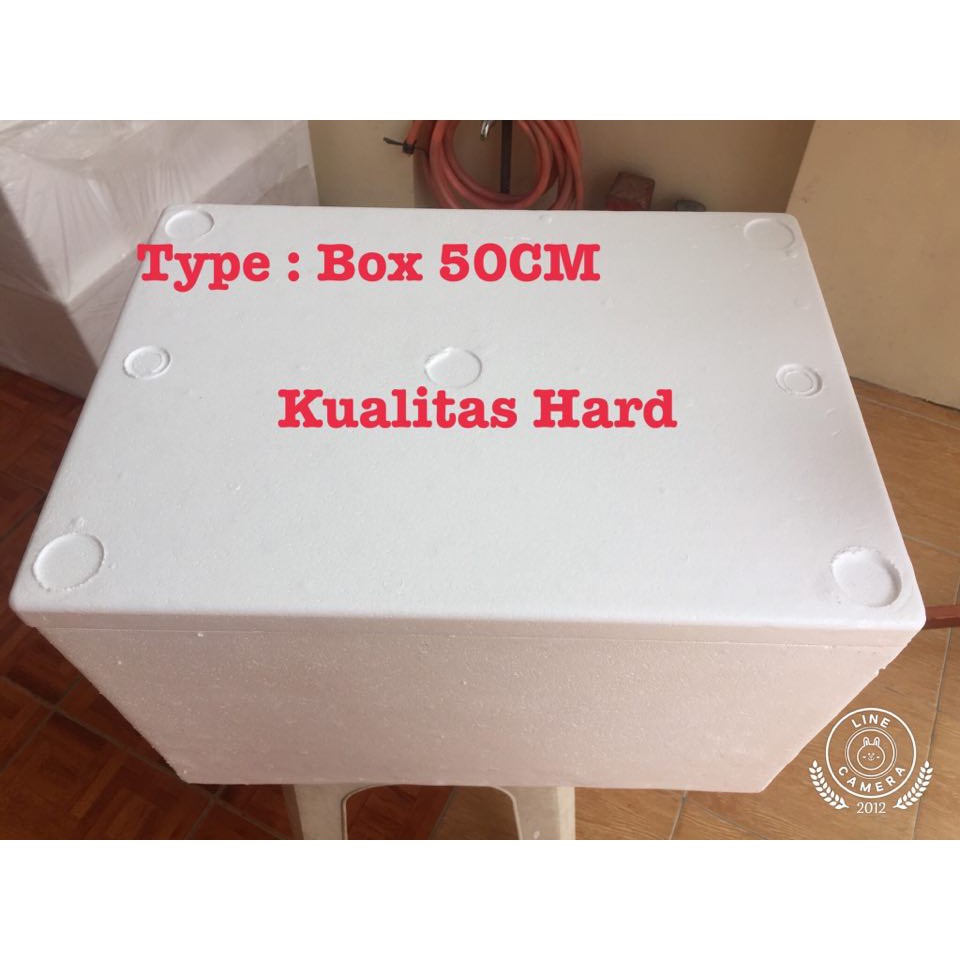 Jual Styrofoam box 50CM 38CM 33CM kualitas HARD BOX GG HARD | Shopee Indonesia