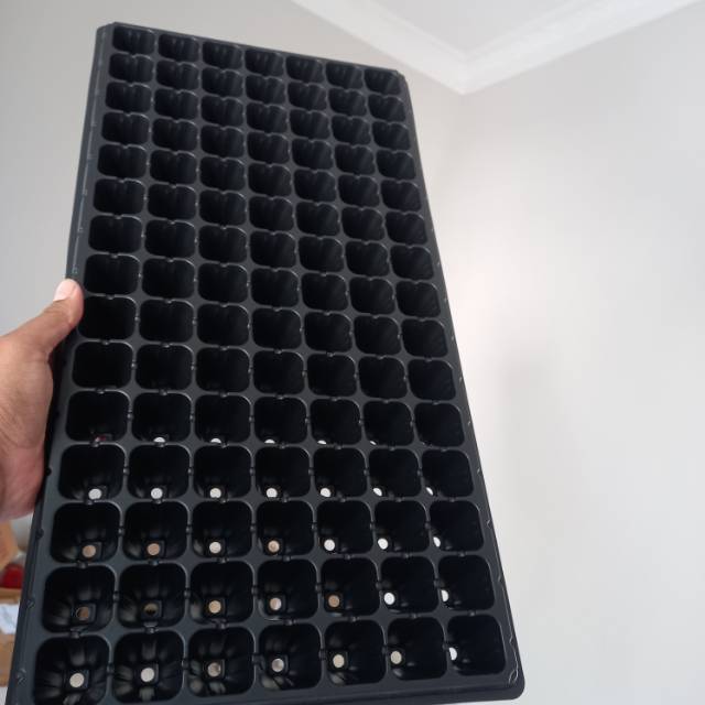 Jual Tray Semai 105 Lubang (Pot Tray / Pottray / Pot Semai) | Shopee ...
