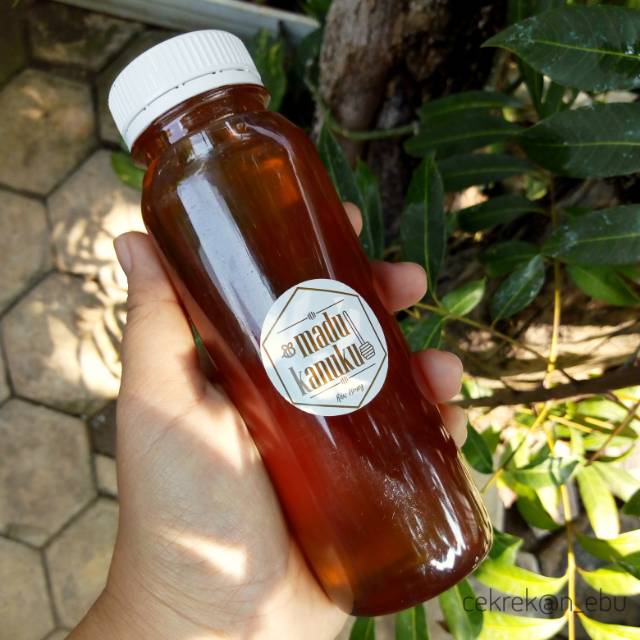 Jual Madu Alami Klanceng /Trigona ~ Kanuku 250 ml | Shopee Indonesia