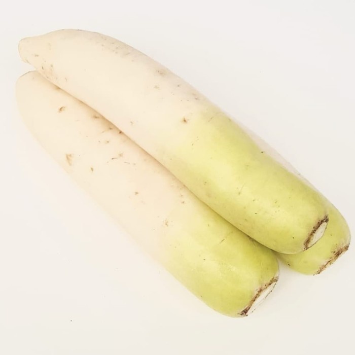 Jual LOBAK PUTIH (pcs ± 800 gr - 900gr) | Shopee Indonesia