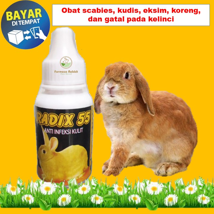 Jual RADIX 55 OBAT Kelinci Scabies Obat Jamur Koreng Scabies Kelinci ...