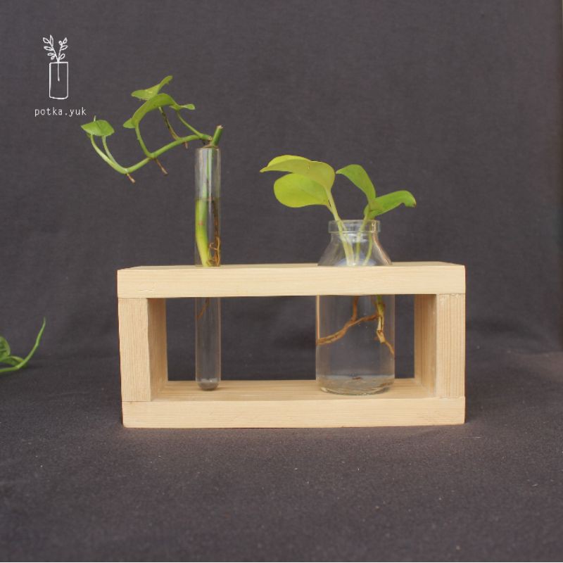 Jual pot kaca tanaman water propagation | Shopee Indonesia