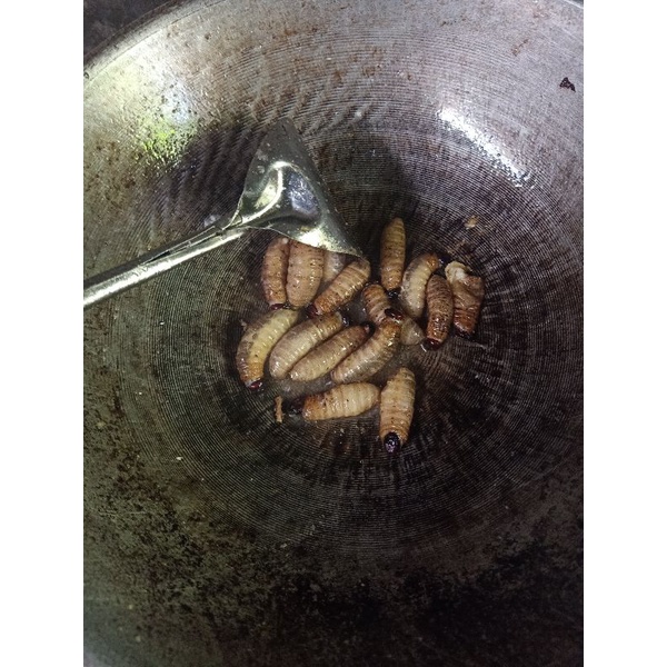 Jual ulat sagu goreng 25 ekor siap makan | Shopee Indonesia