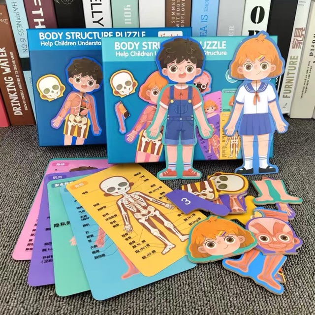 Jual Body structure puzzle - puzzle struktur badan - anatomi manusia ...