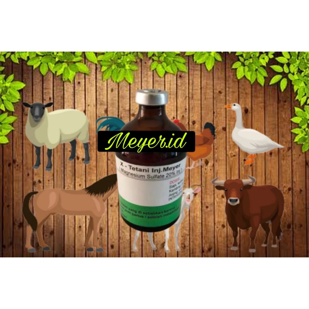 Jual X-Tetani Inj Meyer 100ML - Obat Kejang - Kejang otot pada hewan ...