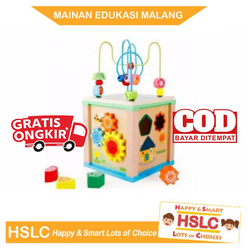 Jual SALE PROMO MAINAN EDUKASI INTELLIGENCE BOX / MAINAN BOX PINTAR ...