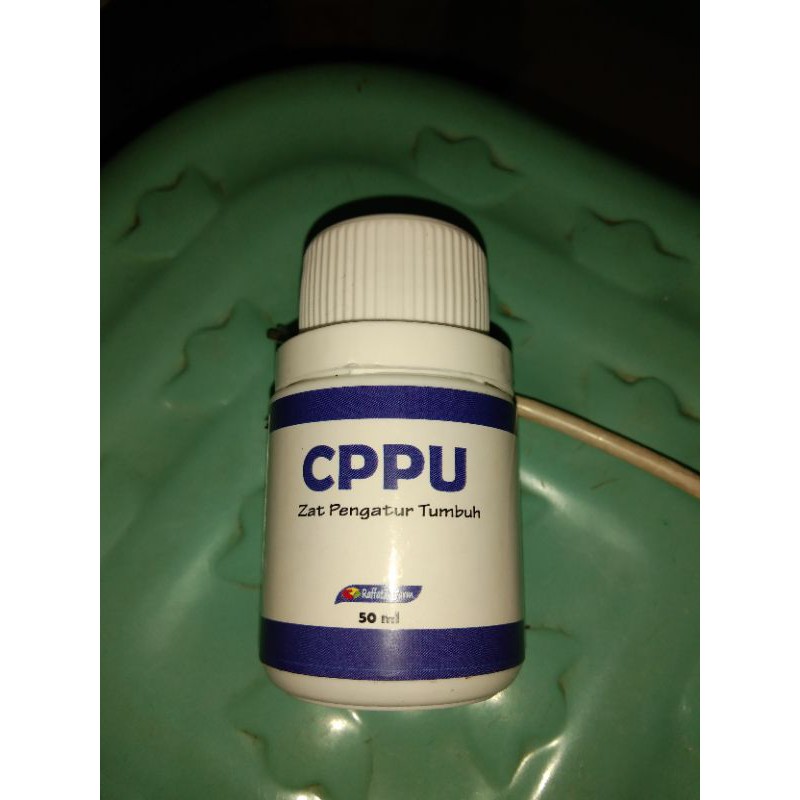 Jual CPPU ZPT | Shopee Indonesia