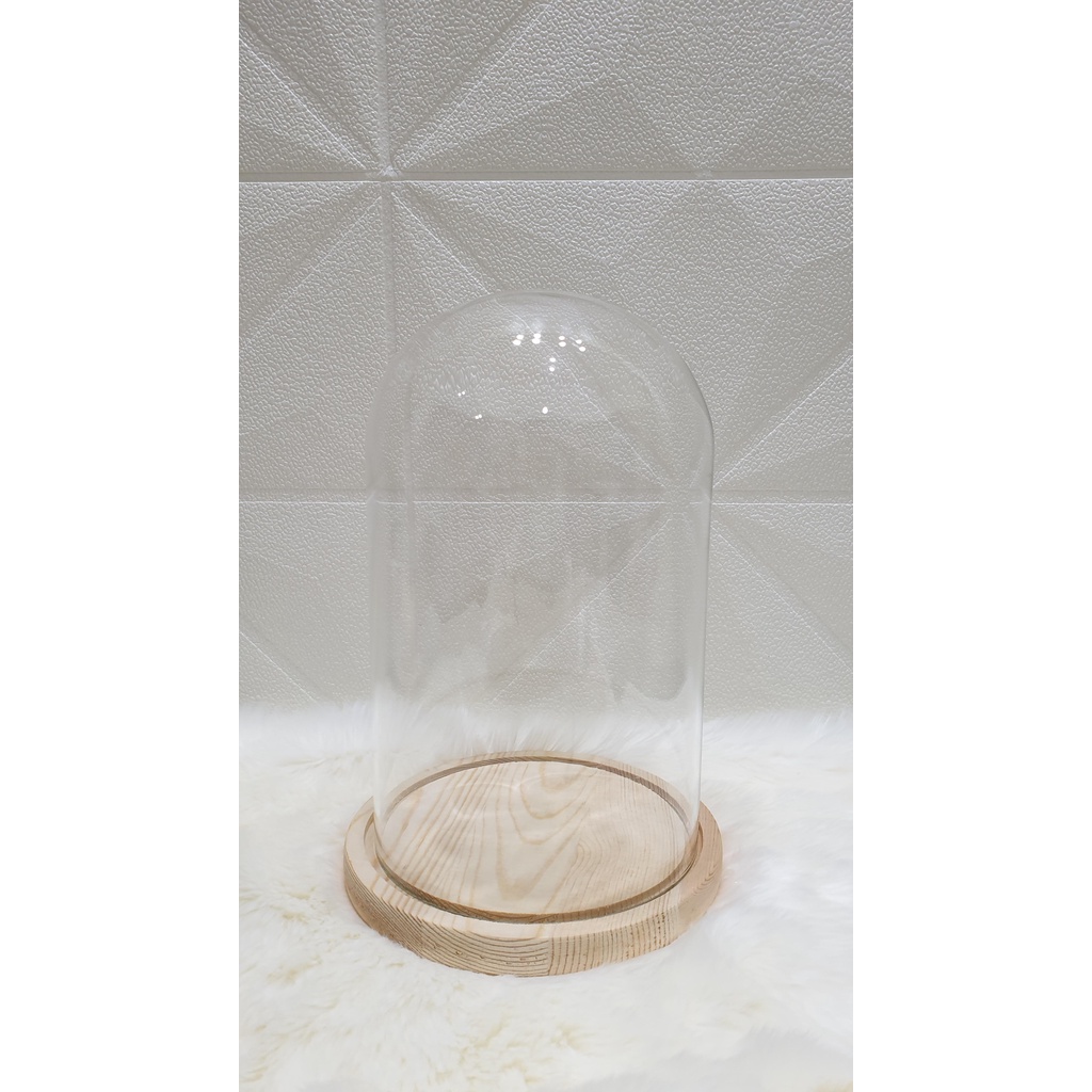 Jual GLASS DOME / kubah kaca/ flower dome import kosong | Shopee Indonesia