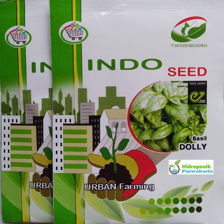 Jual Benih Basil Dolly Isi 600 Benih Original Packing PT Indogreen ...