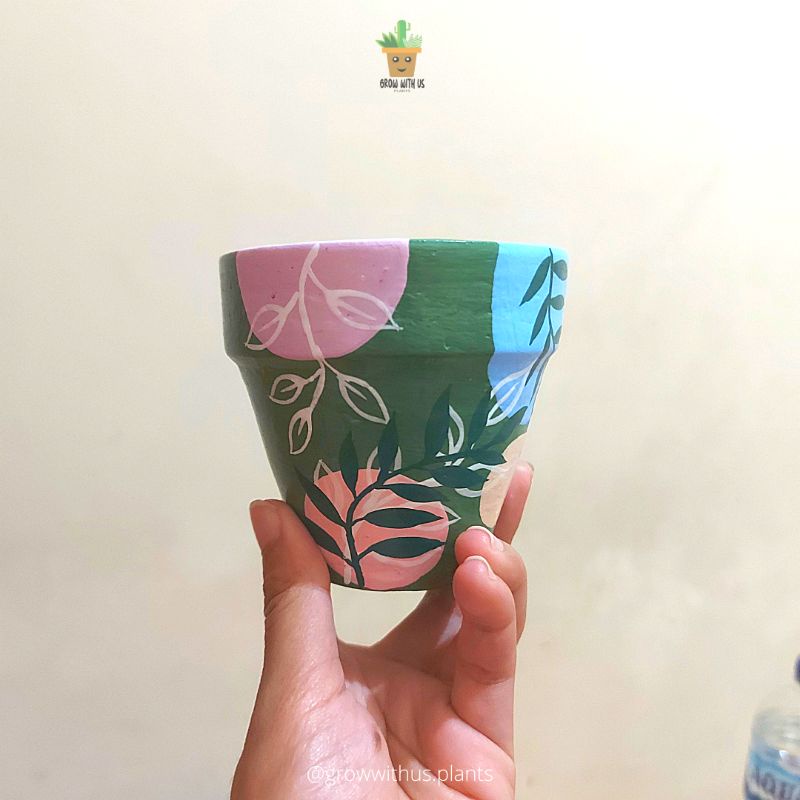 Jual Pot Kaktus Sukulen Haworthia Lukis Ukuran 8cm (I) | Shopee Indonesia