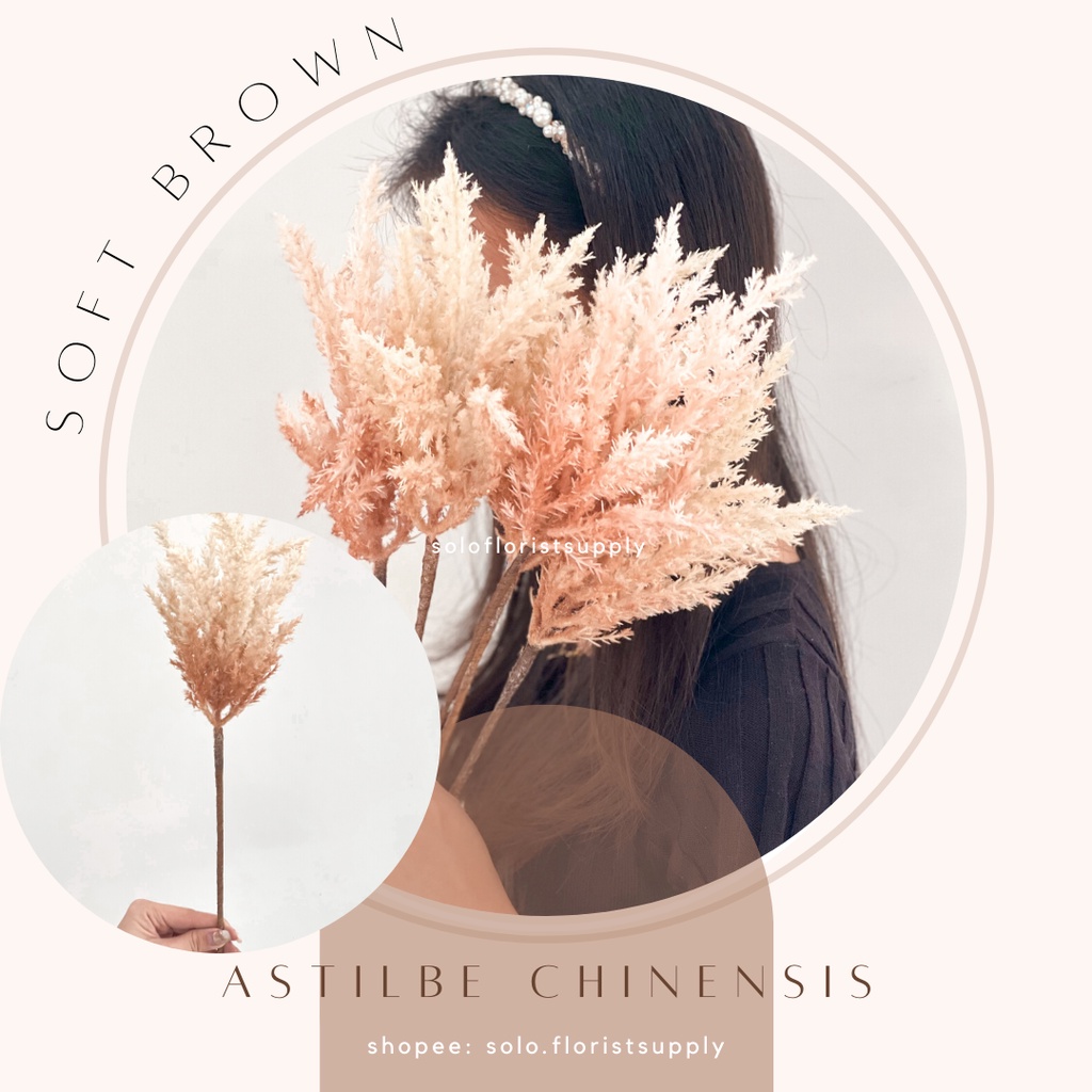 Jual ASTILBE CHINENSIS ARTIFICIAL Bunga Astilbe Tangkai Panjang ...