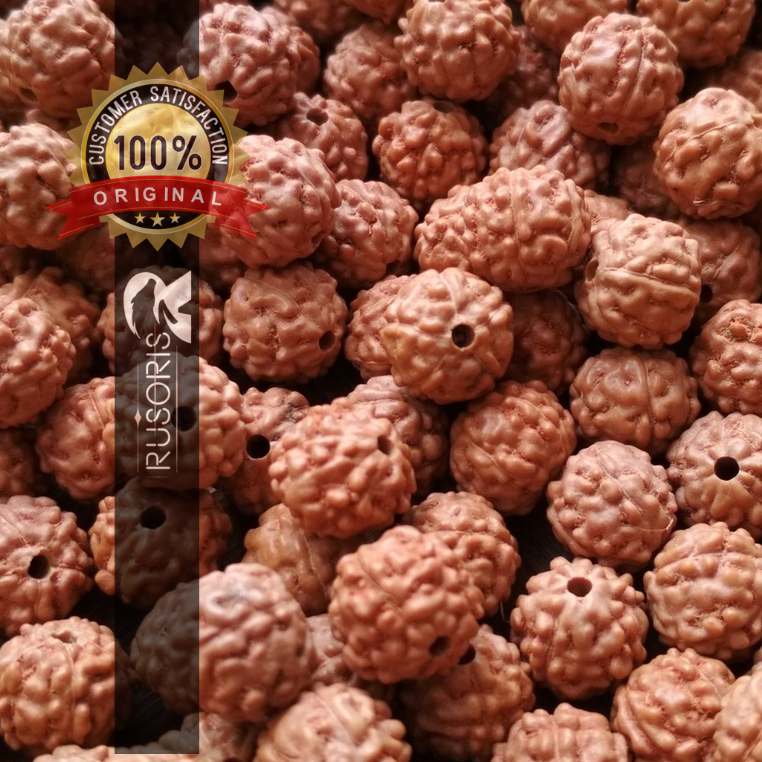 Jual Bahan Souvenir Kerajinan 120butir Manik Gelang Jenitri Rudraksha ...