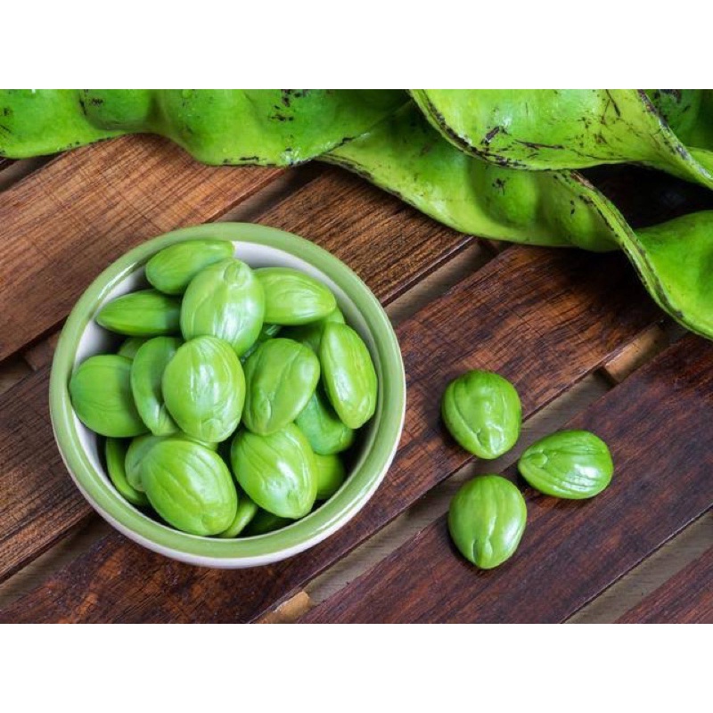 Jual petay | Shopee Indonesia
