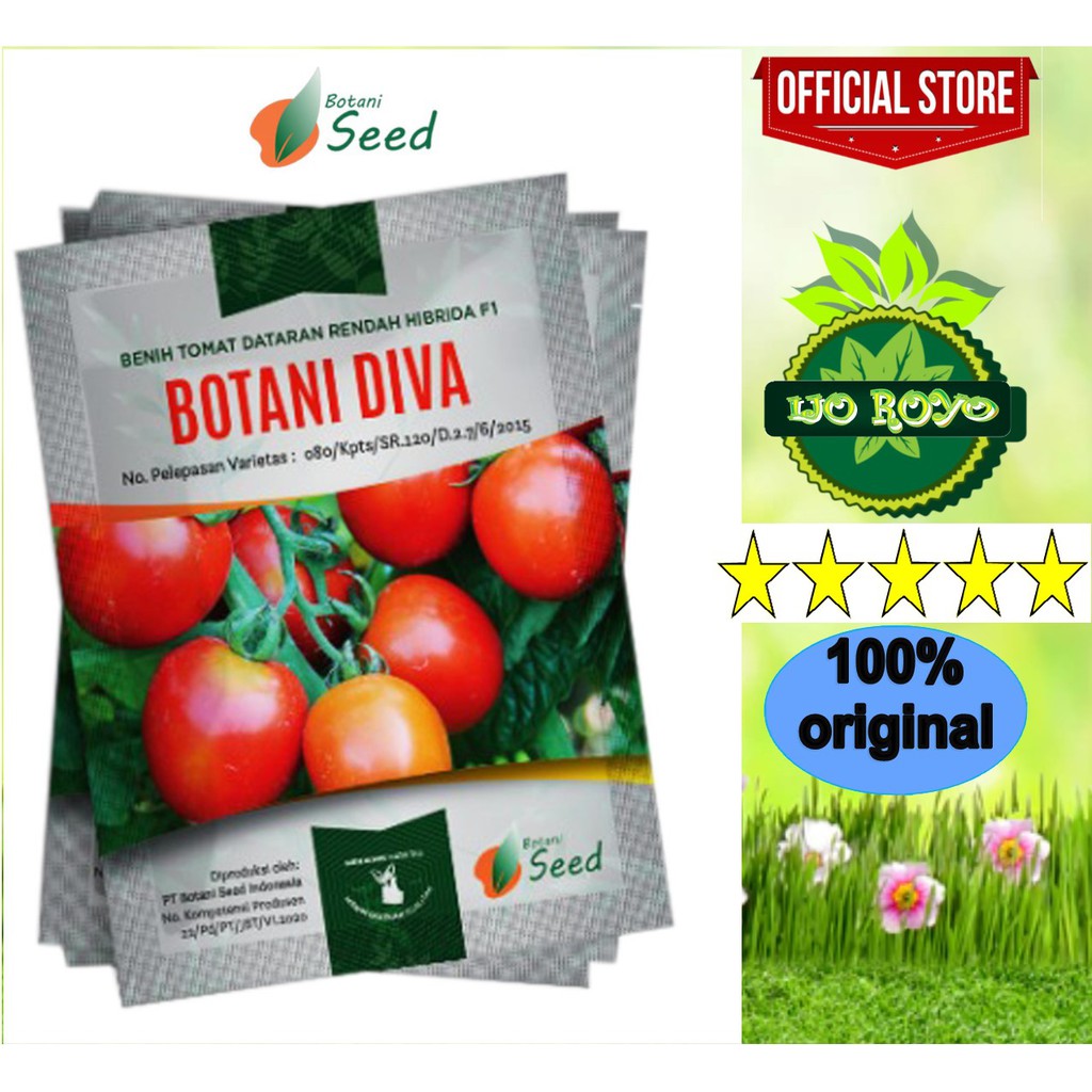 Jual Benih Tomat Diva F1 1 5 10 gram ipb botani seed original | Shopee ...
