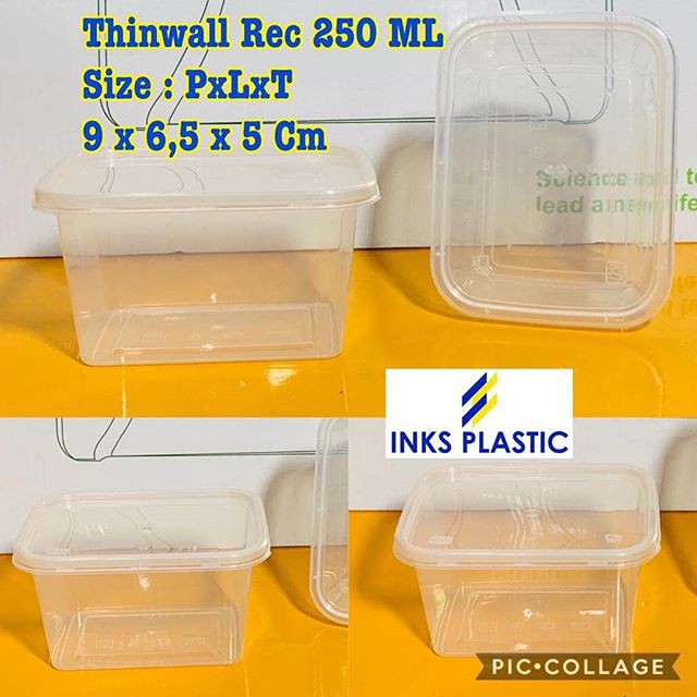 Jual ISI 25 PC Thinwall 250 Ml REC - Take Away - Puding 250 Ml REC - Kotak Persegi + TUTUP ...